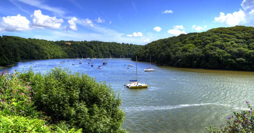 Discover Cornwall with the Fal River Autumn Walking Festival | Bosinver