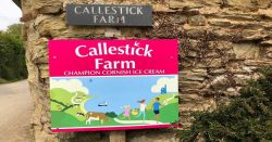 Cornish food & drink: Callestick Farm ice cream