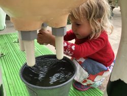 Cornish food & drink: Callestick Farm ice cream