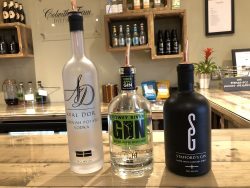 Gin tasting & distillery tours at Colwith Farm Distillery Cornwall