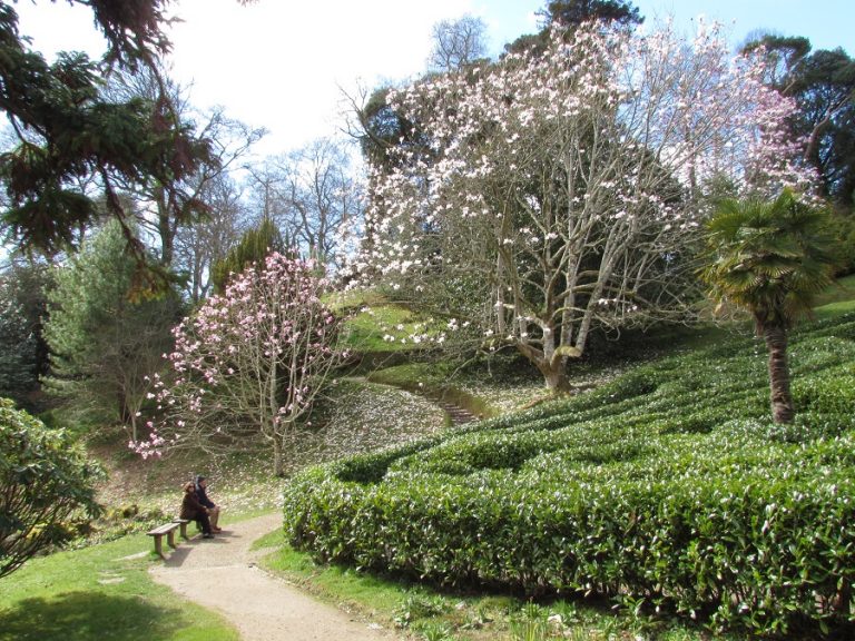 5 reasons to visit Cornwall in early spring - Farm Holiday Cottages ...