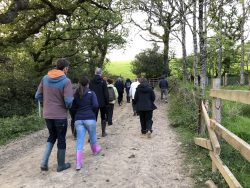 A visit to the Cornwall Beaver Project at Woodland Valley Farm